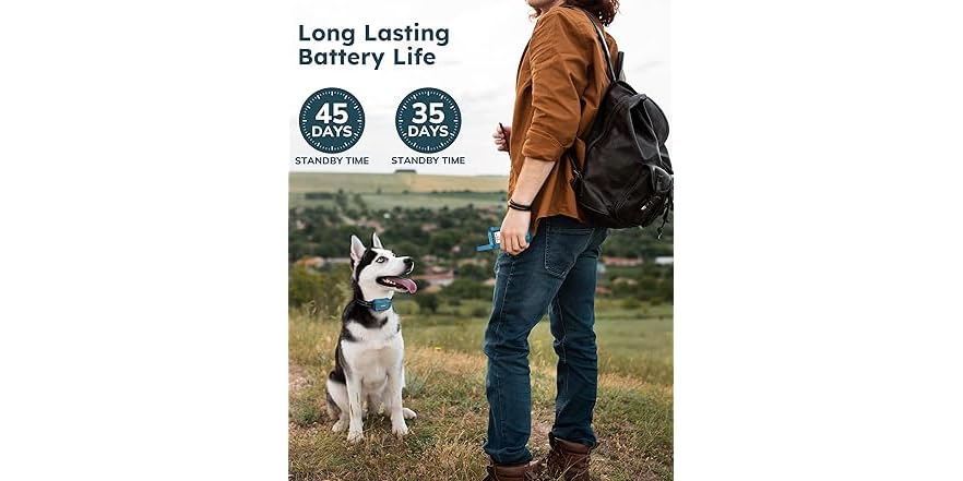 Jugbow Dog shock collar