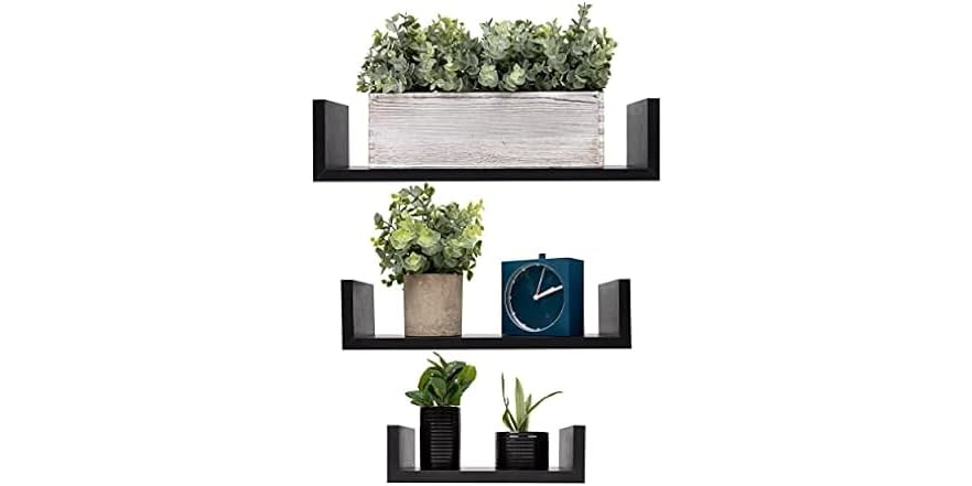 Mind Reader Floating Shelves with Invisi