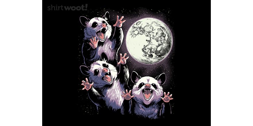 Three Possum Moon