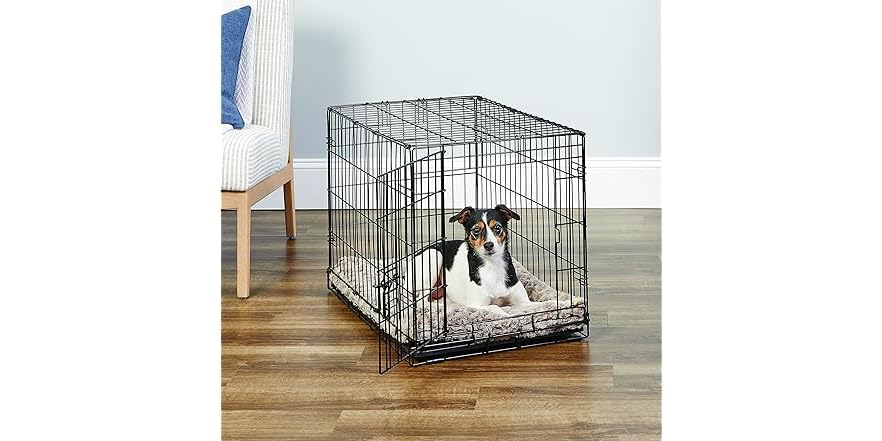 New World Single Door Dog Crate, 30"