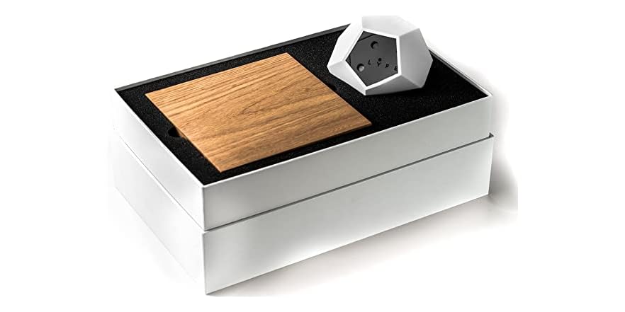 LYFE Levitating Plant Pot for Air Plants