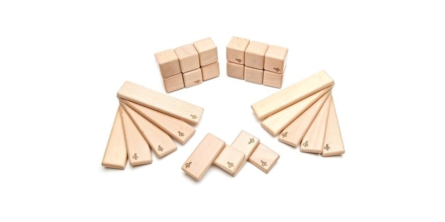 Tegu 26-Piece Discovery Set