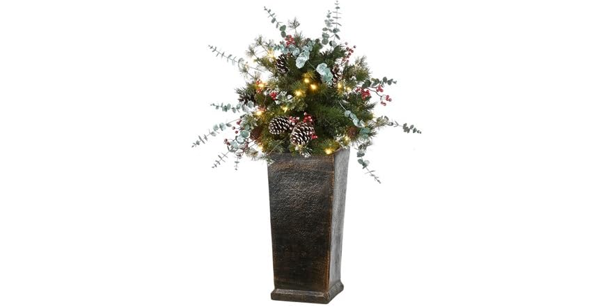 3' Meadow Basin Tree 50 Warm LED