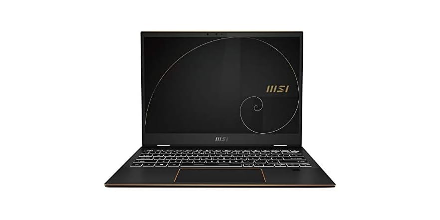 MSI Professional Laptop