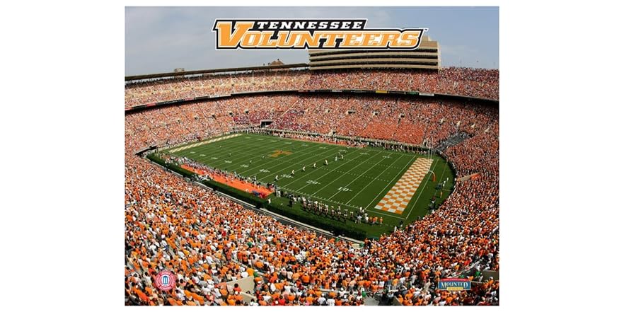 Tennessee Volunteers Stadium 8" x 10"