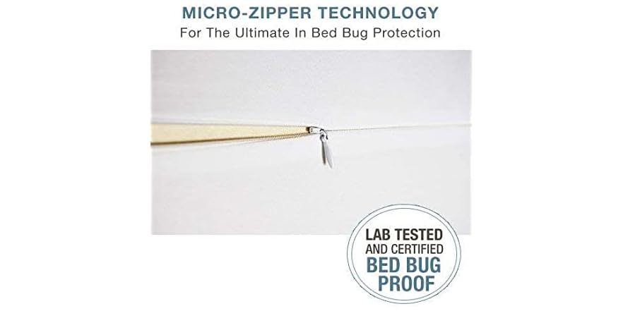 Box Spring Encasement - Queen