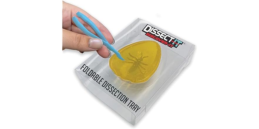 Dissect-It Amber Lab Dissection