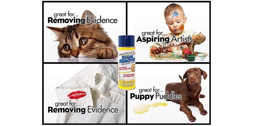 (2 Pack) Campanelli's Professional Formula Stain Remover