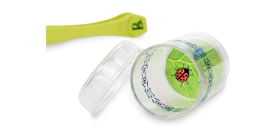 B. toys Bug Bungalow Insect Catching Kit
