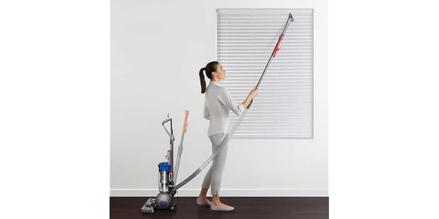 Dyson Ball Animal 2 Origin Upright Vacuum