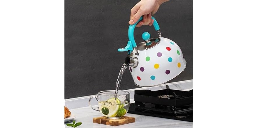 Eco- Friendly Tea Kettle, Large 2.5 Liter