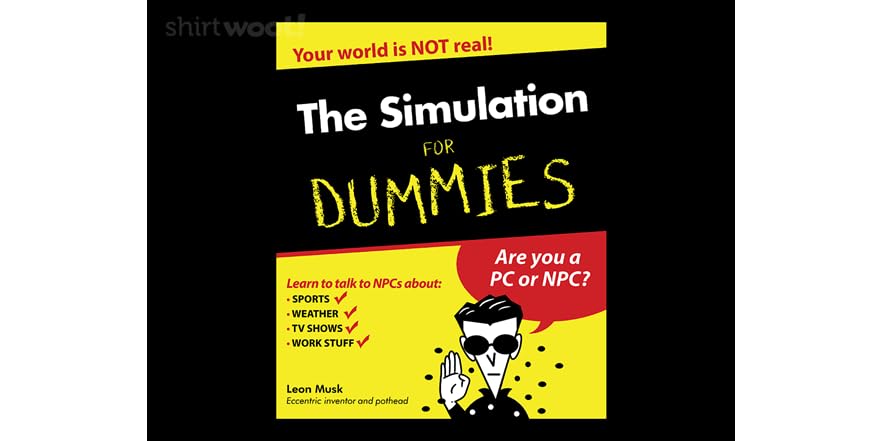 The Simulation for Dummies