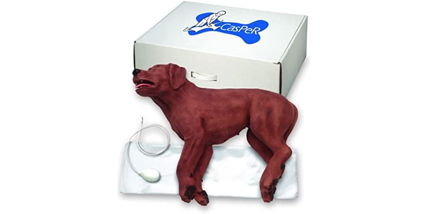 Simulaids - CasPeR The CPR Dog by Simu