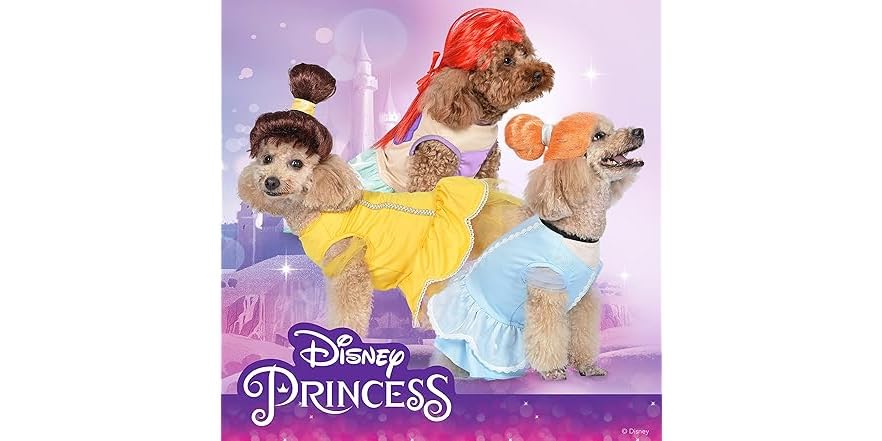 Disney for Pets Costume: Cinderella