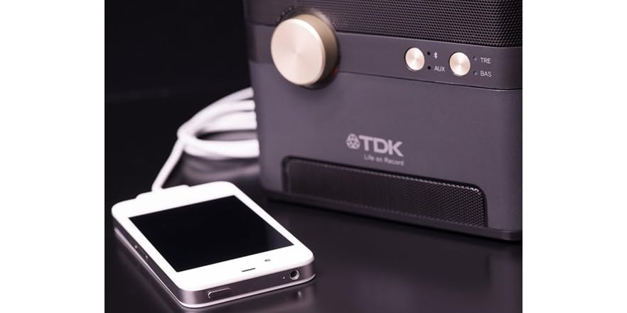 TDK Wireless Charging Bluetooth Speaker