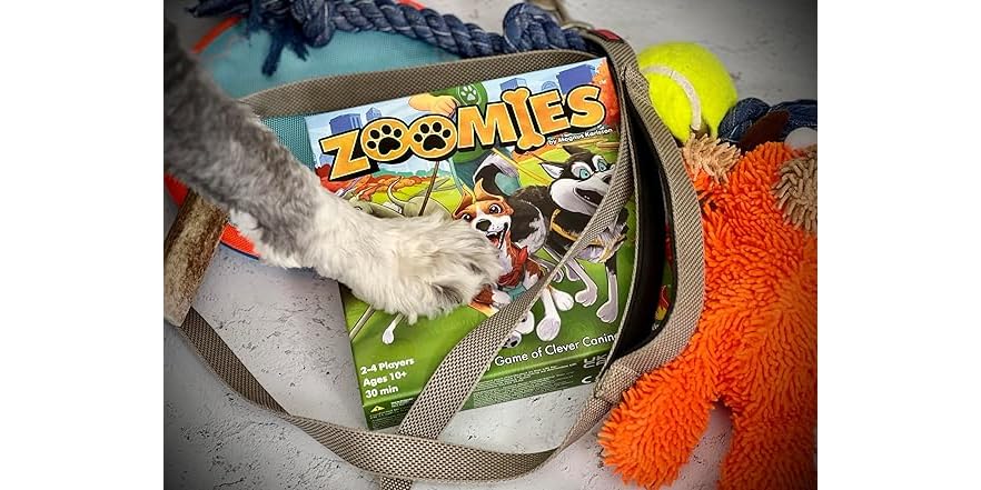 Zoomies, Dog Walking Family Card Board Game
