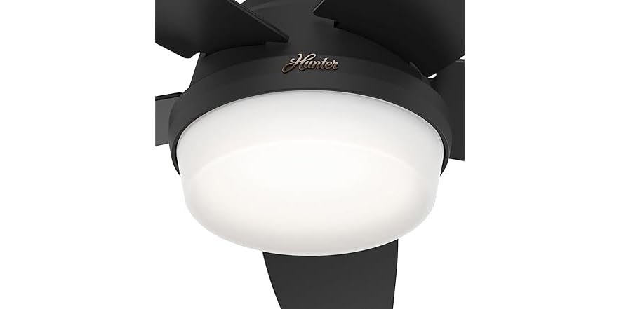 Hunter Fan CC52590-A 48-inch wLight Kit and Remote