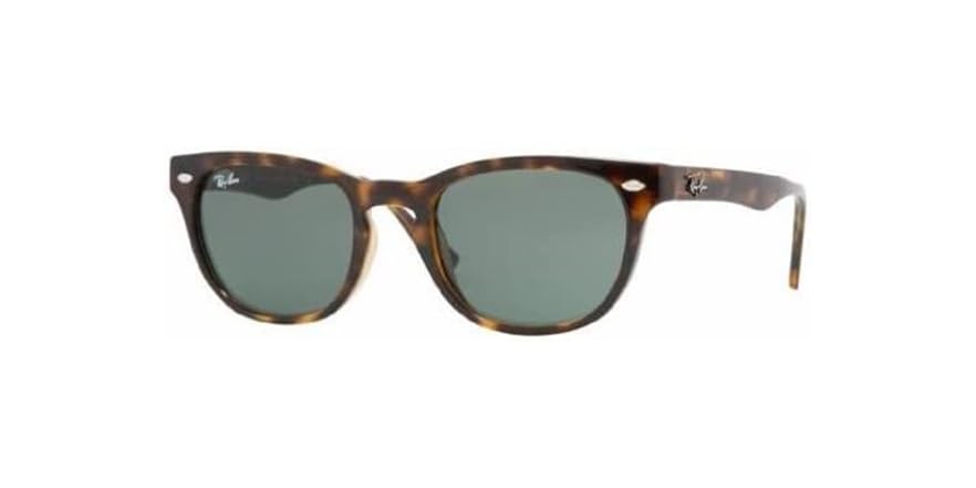 Ray-Ban Men's 4140 Polarized Sunglasses