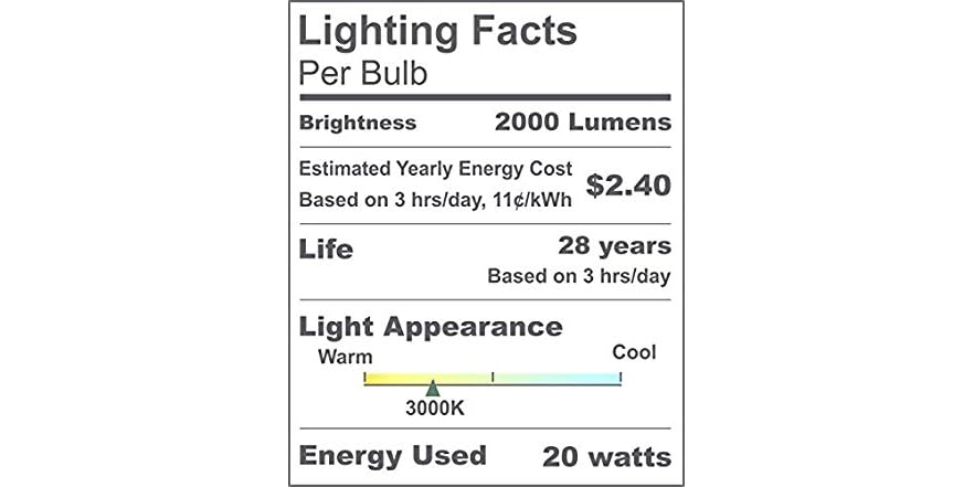 ecoBright 20W LED Light Bulb