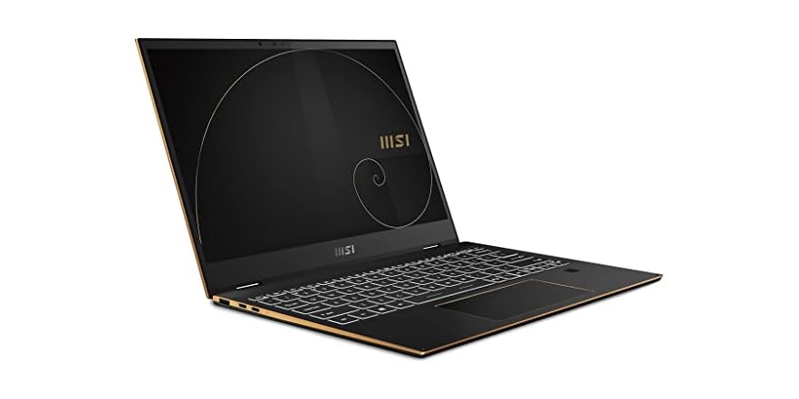 MSI Professional Laptop