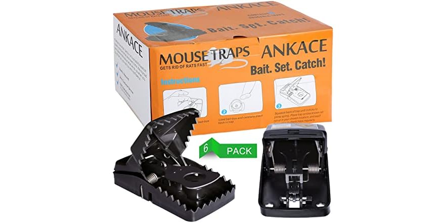 Authenzo Mouse Trap