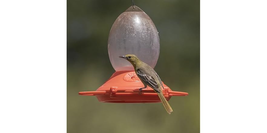 Perky-Pet Opus Plus 32 oz Oriole Feeder