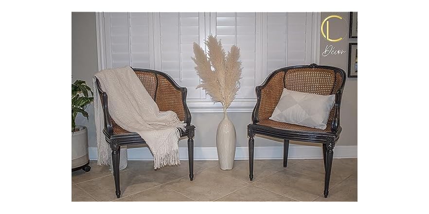 Lunch Box Heroes Pampas Grass Large