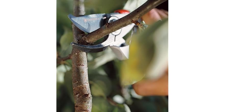 Hand Pruner With Angled Cutting Head