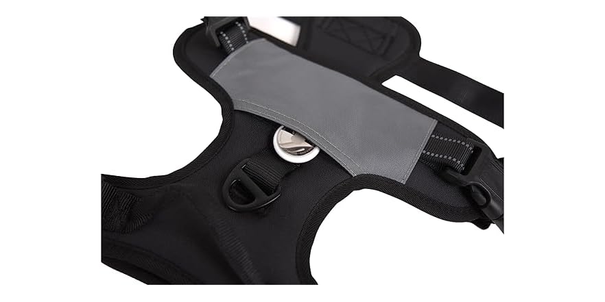 The Inquisitive Canine The North Star Dog Harness