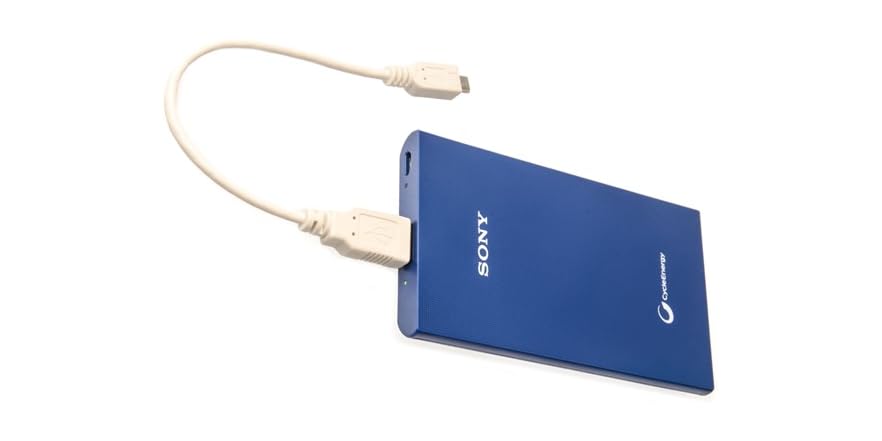 SONY 5,000 mAh Power Bank - 2 Pk
