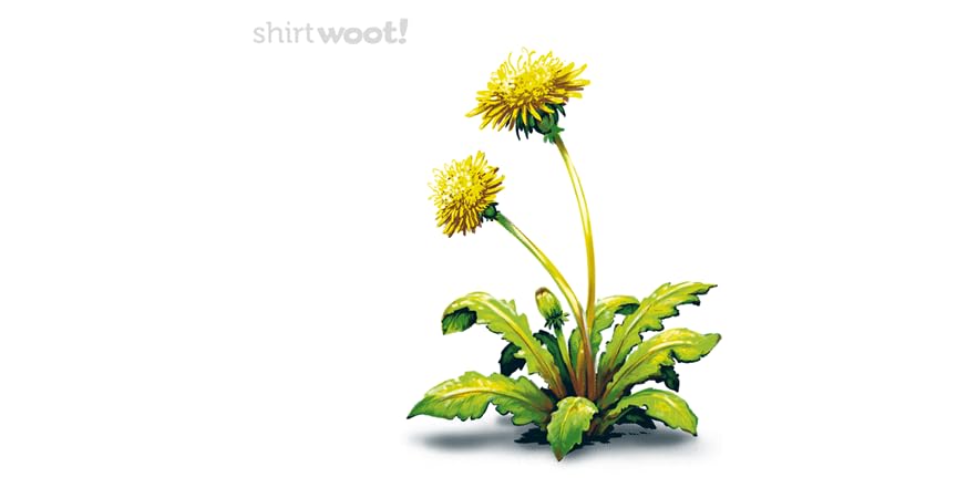 A Little Weed