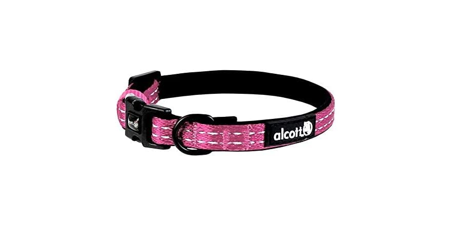 Alcott Adventure Collar