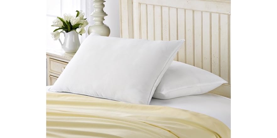 2-Pack Memory Fiber Filled Pillows