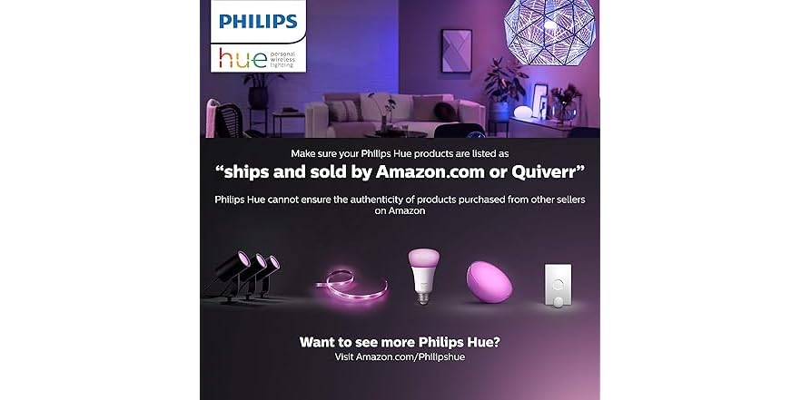 Philips Hue Outdoor 8-Foot Cable and T Connector