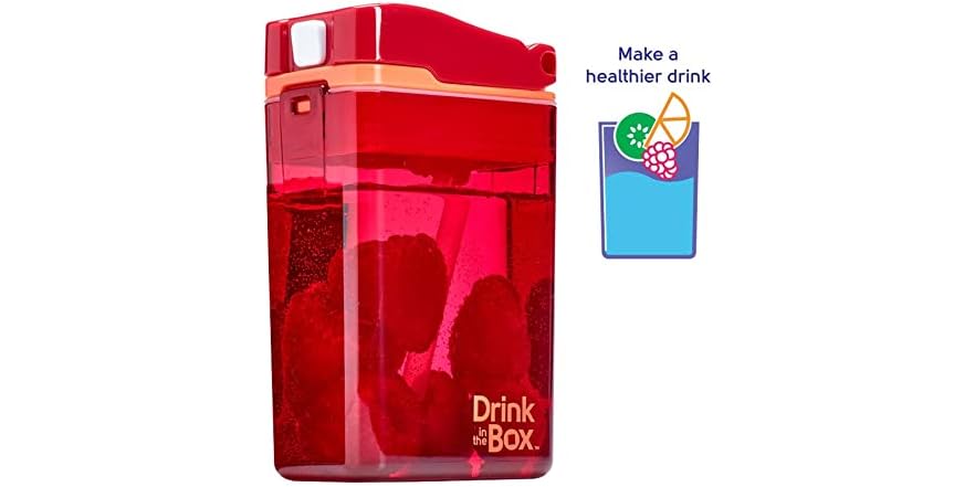 Reusable Drink and Juice Box Container