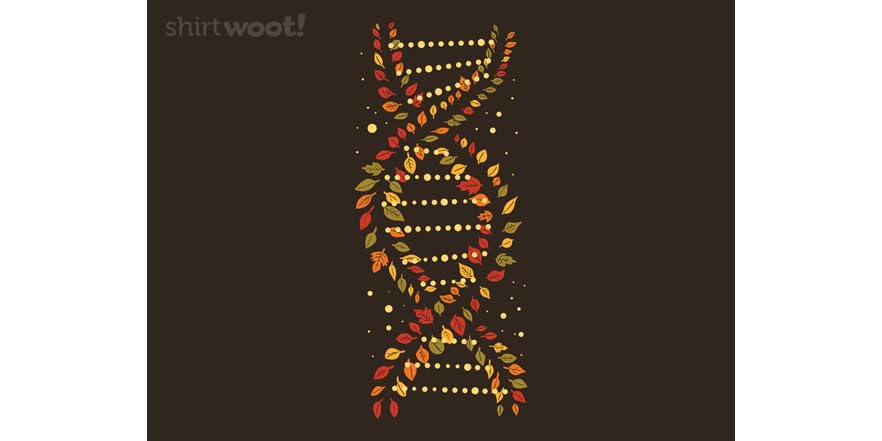 Autumn DNA