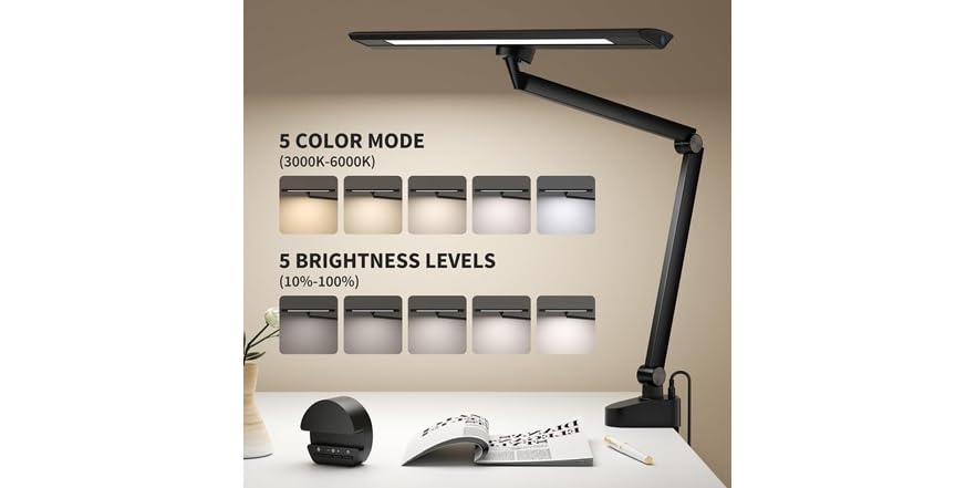 Kary LED Desk Lamp