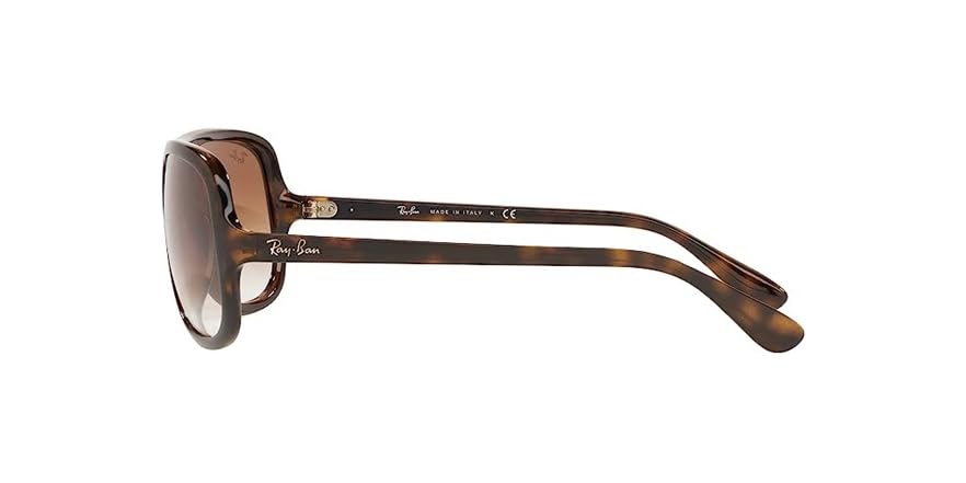 Ray-Ban Men's Rb4162 Aviator Sunglasses