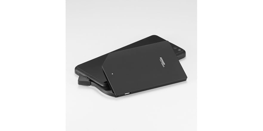 AmazonBasics Portable Power Bank