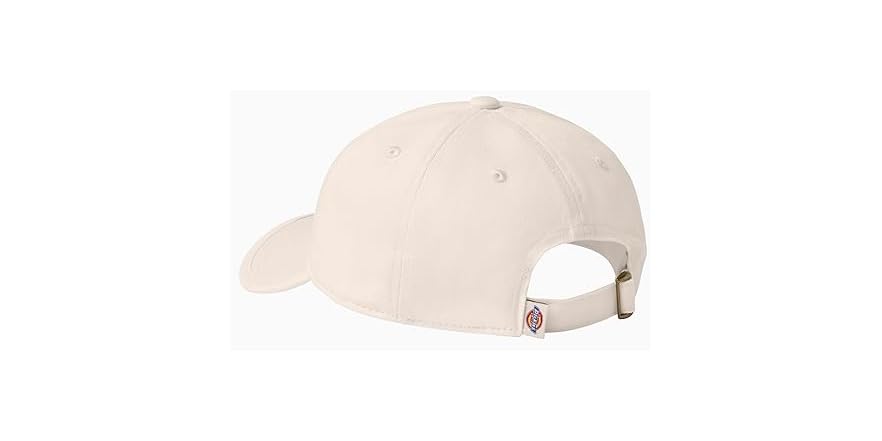 Dickies EMBROIDERED TWILL DAD HAT