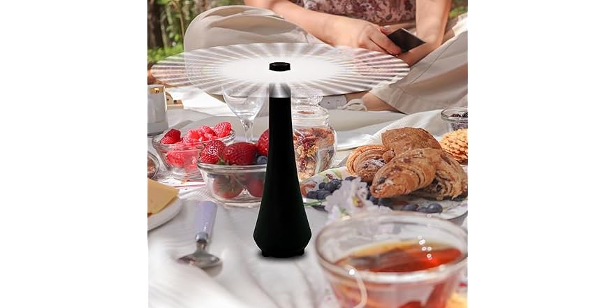 PATIOSIR Fly Swatter Food Fan