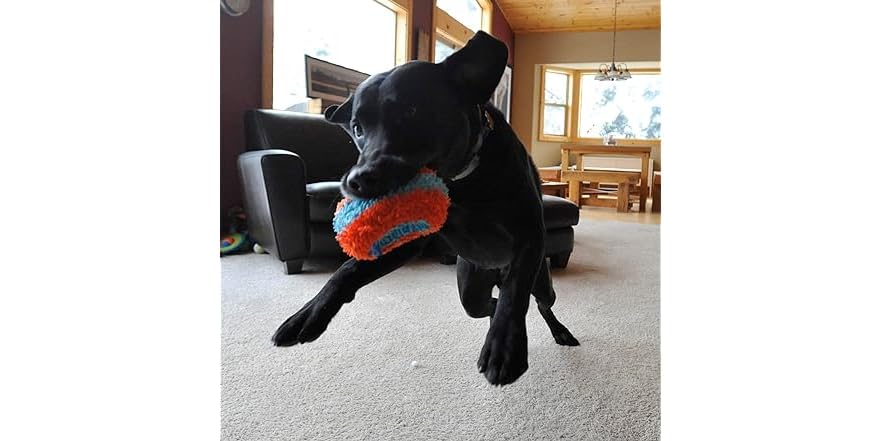 ChuckIt! Indoor Fetch Roller Dog Toy