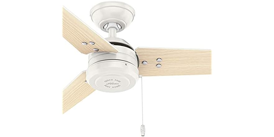 Hunter Fan Company 44" Outdoor Ceiling Fan