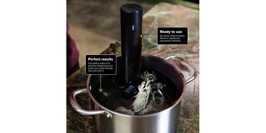 Anova Culinary Sous Vide Precision Cooker Mini