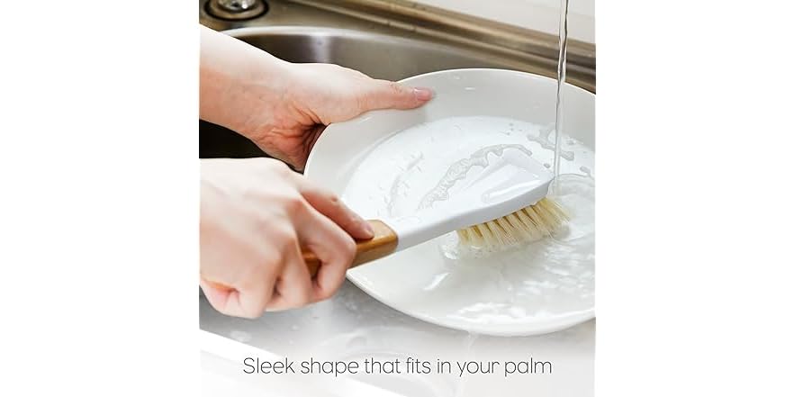 Full Circle Dish Sponge