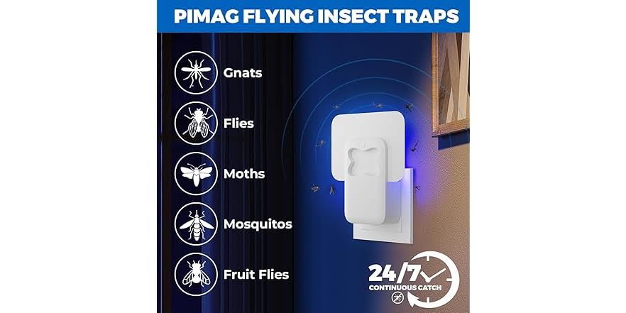 Fruit Fly Traps for Indoors 2 pack