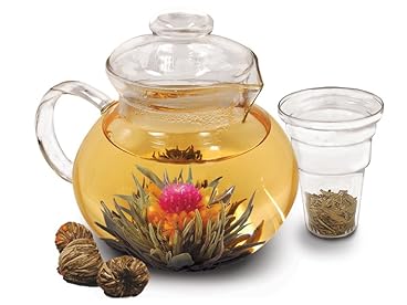 Primula Glass Teapot with Tea