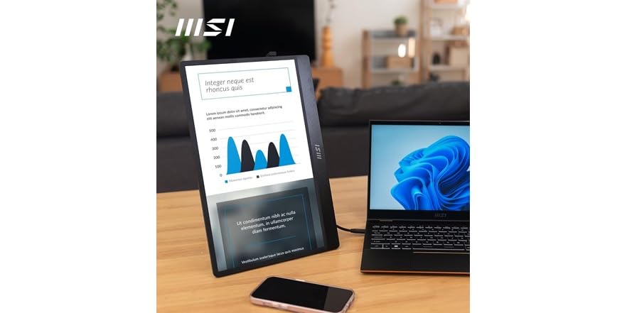 MSI PRO MP161 E2 15.6" Portable Monitor