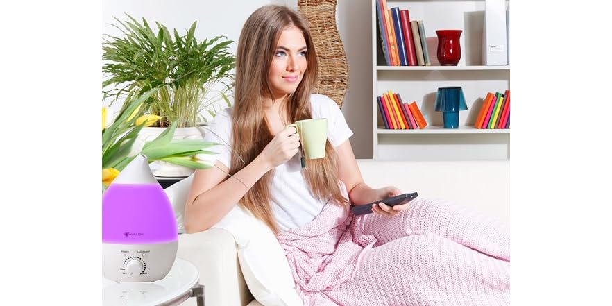 Avalon Air Humidifier or Filters 3-Pk