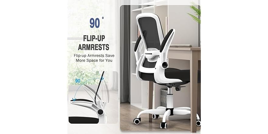 Office Chair, Ergonomic Desk Chair with Adjustable Lumbar Support, High ...